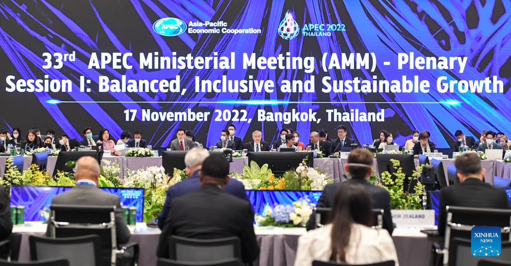 APEC ministerial meeting highlights sustainable, inclusive recovery-Xinhua