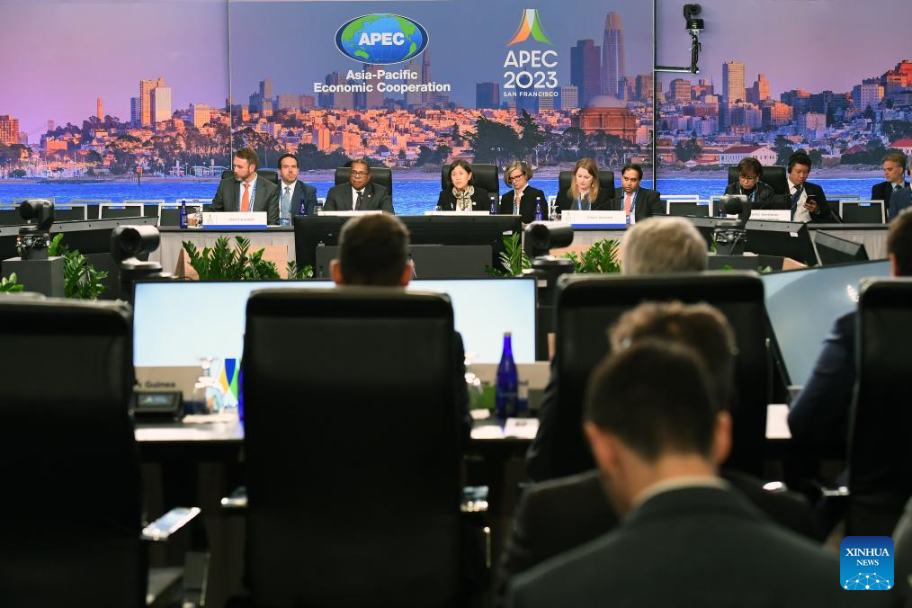 APEC Ministerial Meeting ends with continuous effort for joint statement-Xinhua