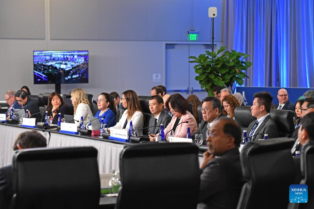 APEC Ministerial Meeting ends with continuous effort for joint statement-Xinhua