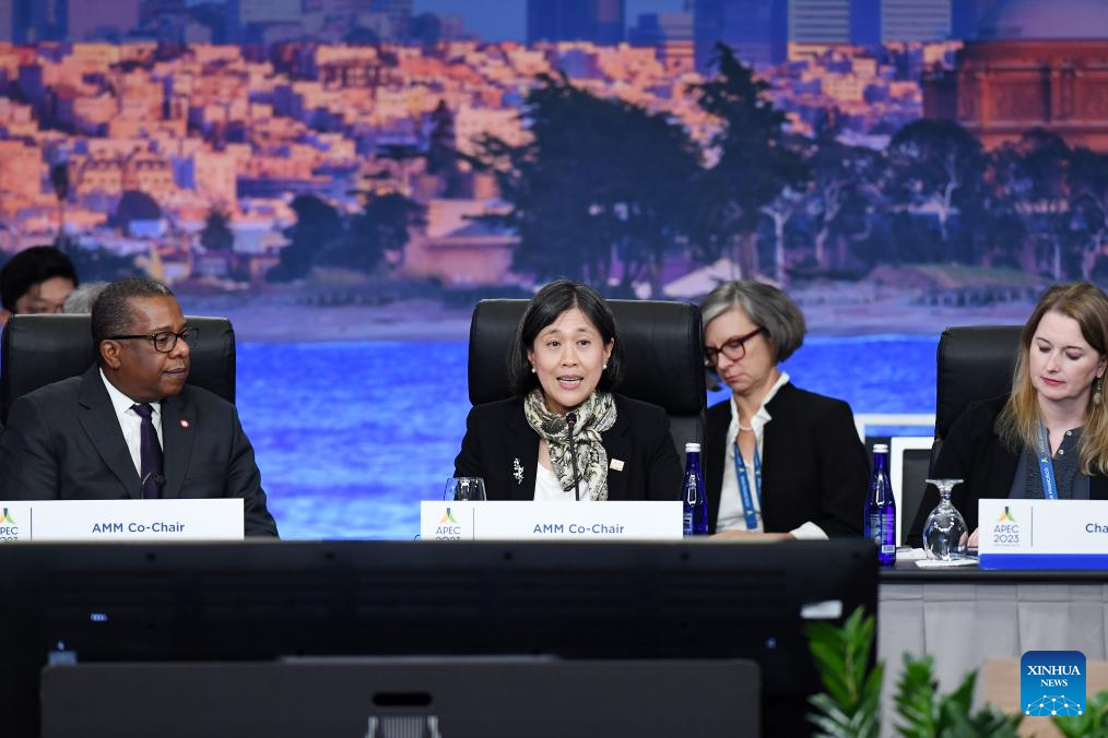 APEC Ministerial Meeting ends with continuous effort for joint statement-Xinhua