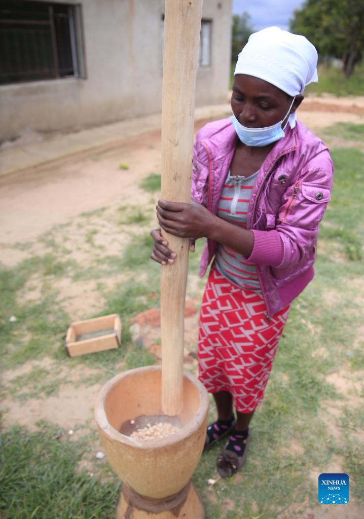 Feature: Zimbabwean women leverage traditional knowledge to sustain ...