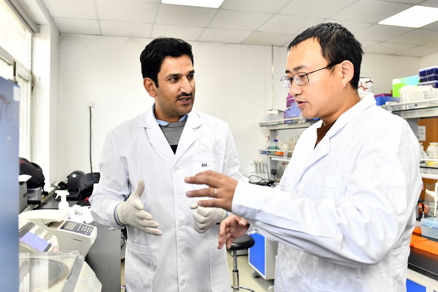 Pakistani postdoctoral fellow works on vegetable sciences in east China ...