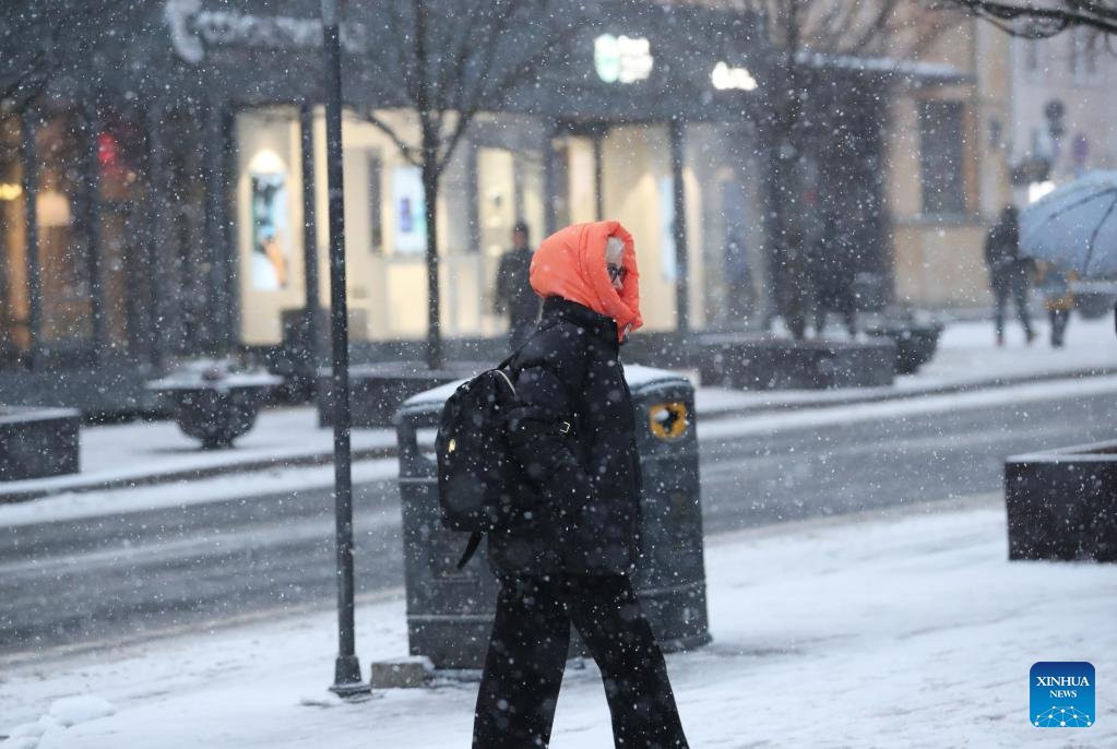 Snowstorm causes interruption of power and traffic in some areas of ...