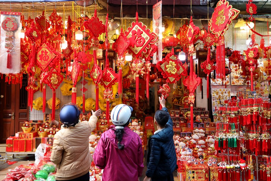 Xi, Trong exchange Spring Festival greetings-Xinhua