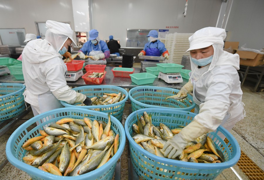 High-yield smart fish farming ship undocks in east China-Xinhua