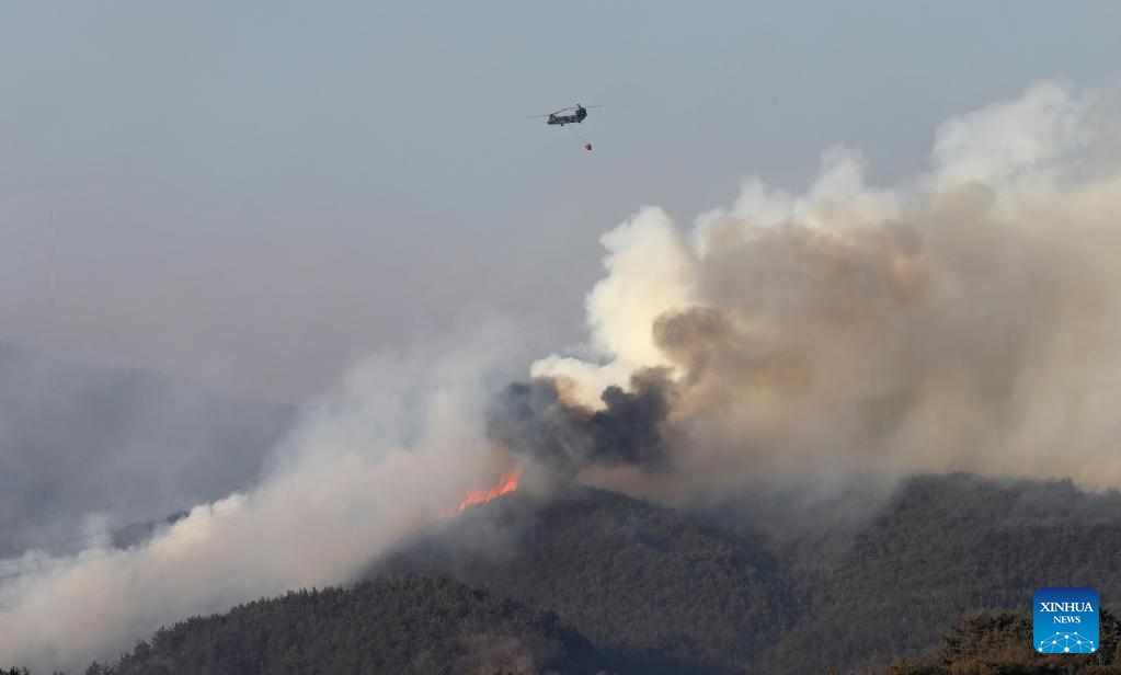 Forest fire breaks out in southeast S. Korea-Xinhua