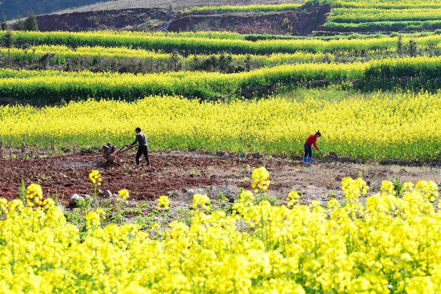 Yushui: A good rain knows the season-Xinhua