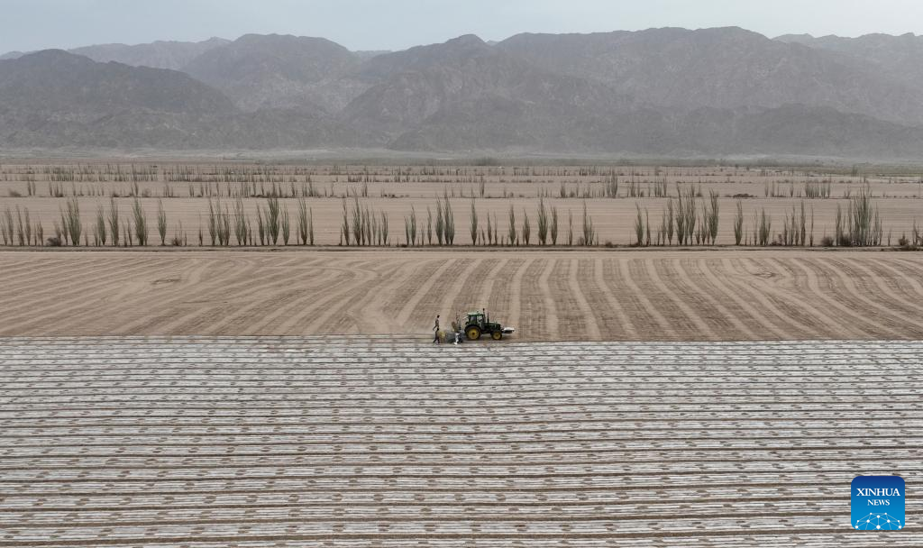 Spring farming of cotton starts in Xinjiang-Xinhua
