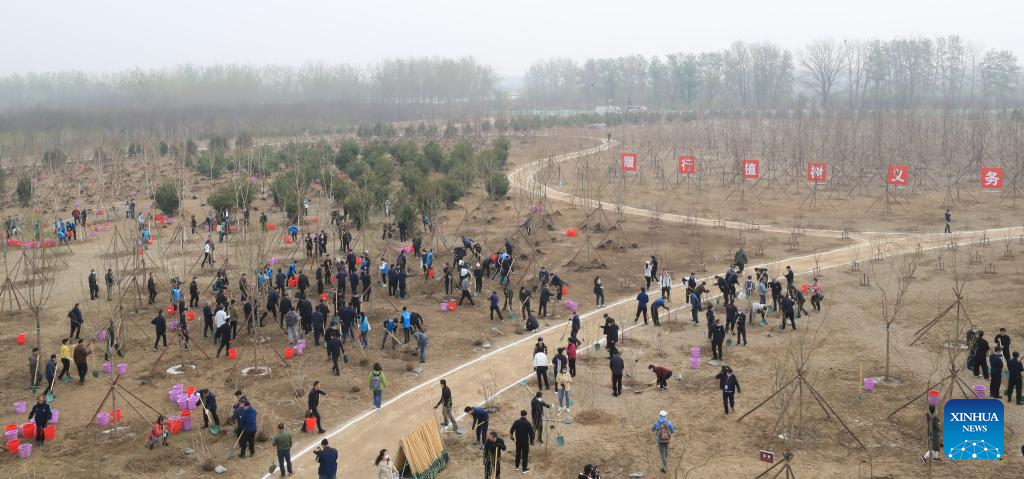 Chinese ministerial officials plant trees in Beijing-Xinhua