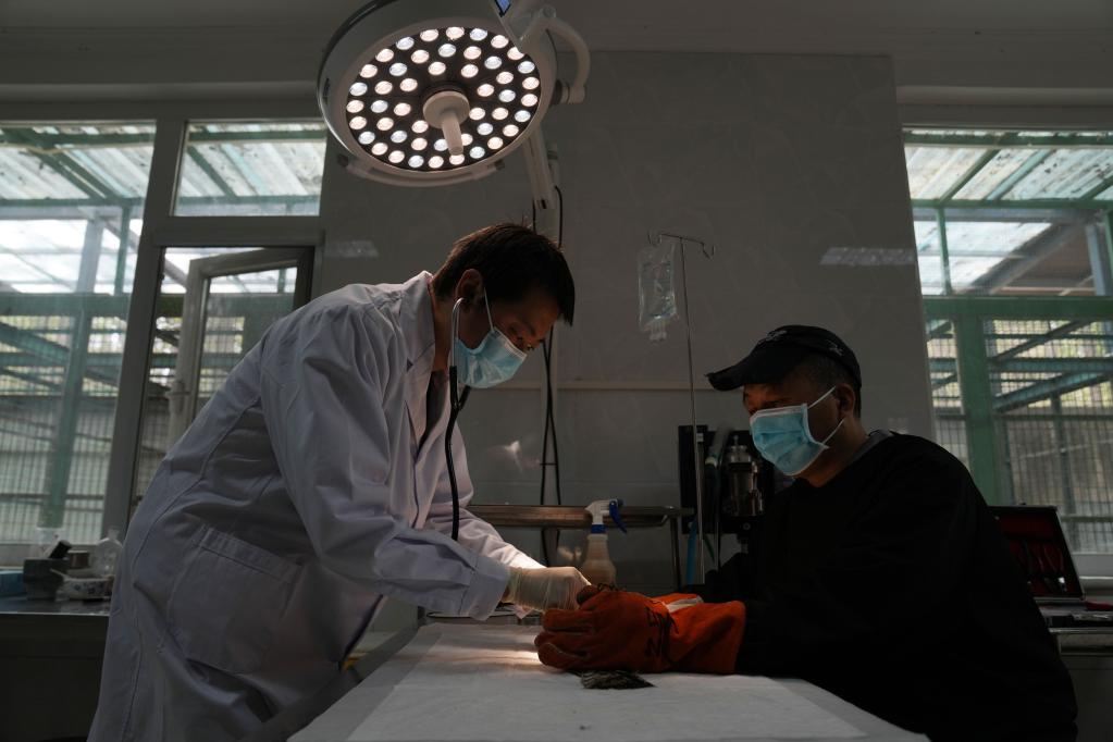 China Focus: From vets to common people, collective endeavor toward ...