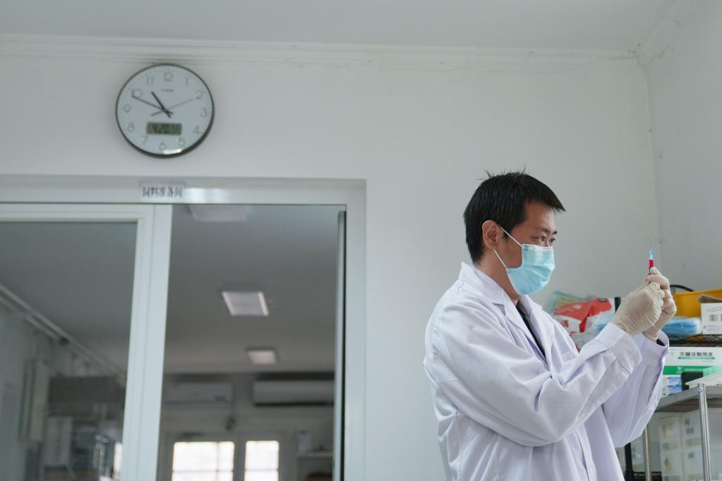 China Focus: From vets to common people, collective endeavor toward ...