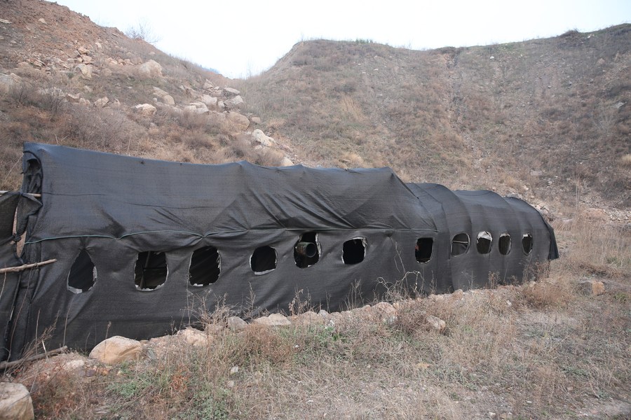 Pakistani national bird thriving again in China's Shanxi-Xinhua