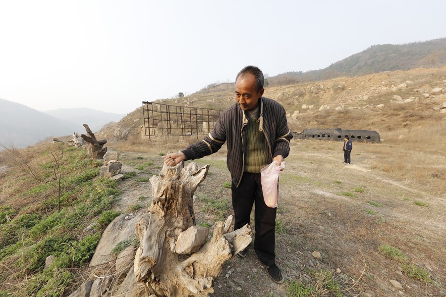 Pakistani national bird thriving again in China's Shanxi-Xinhua