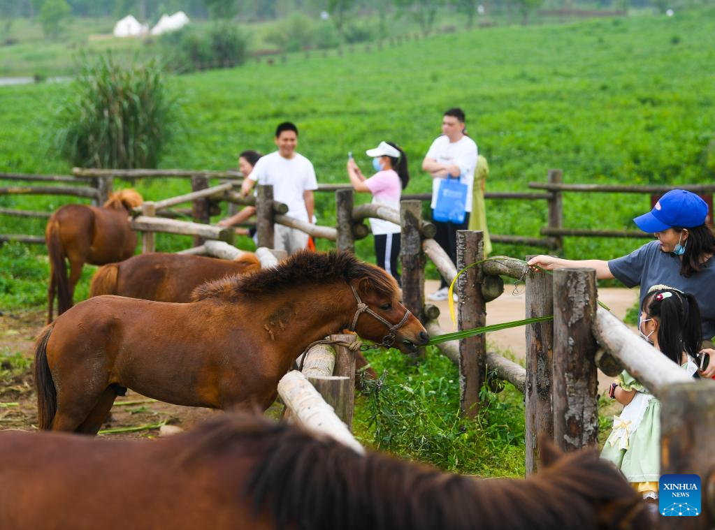 In pics: Guangyang Isle in SW China's Chongqing-Xinhua