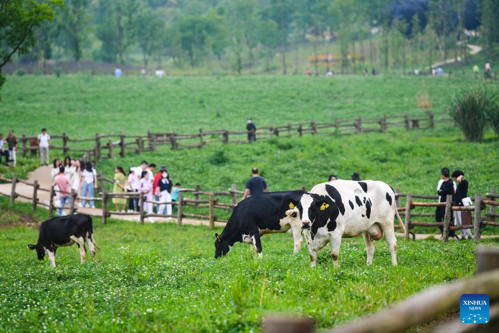In pics: Guangyang Isle in SW China's Chongqing-Xinhua