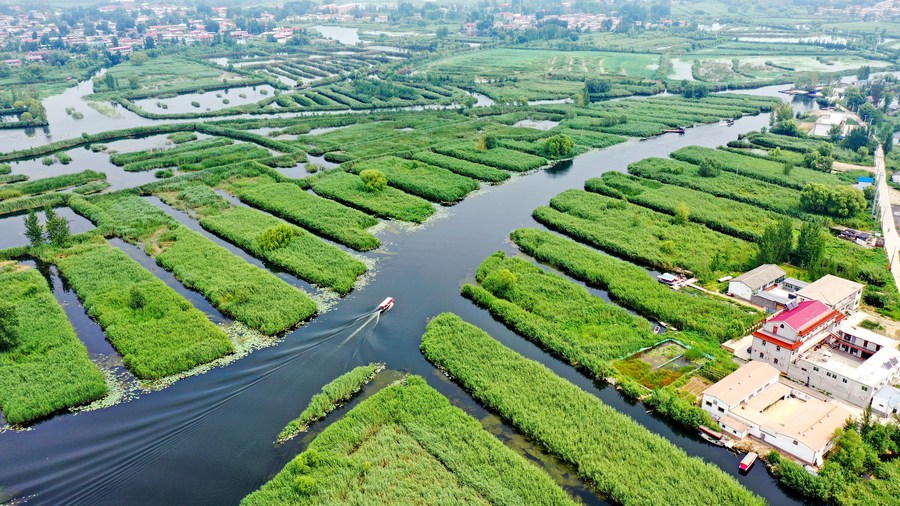China improves water conservancy infrastructure to bolster economy-Xinhua