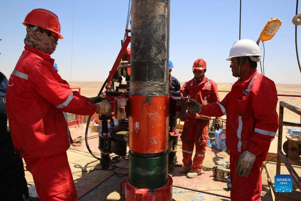 Feature: Chinese well drilling firm helps turn Egypt's desert into ...