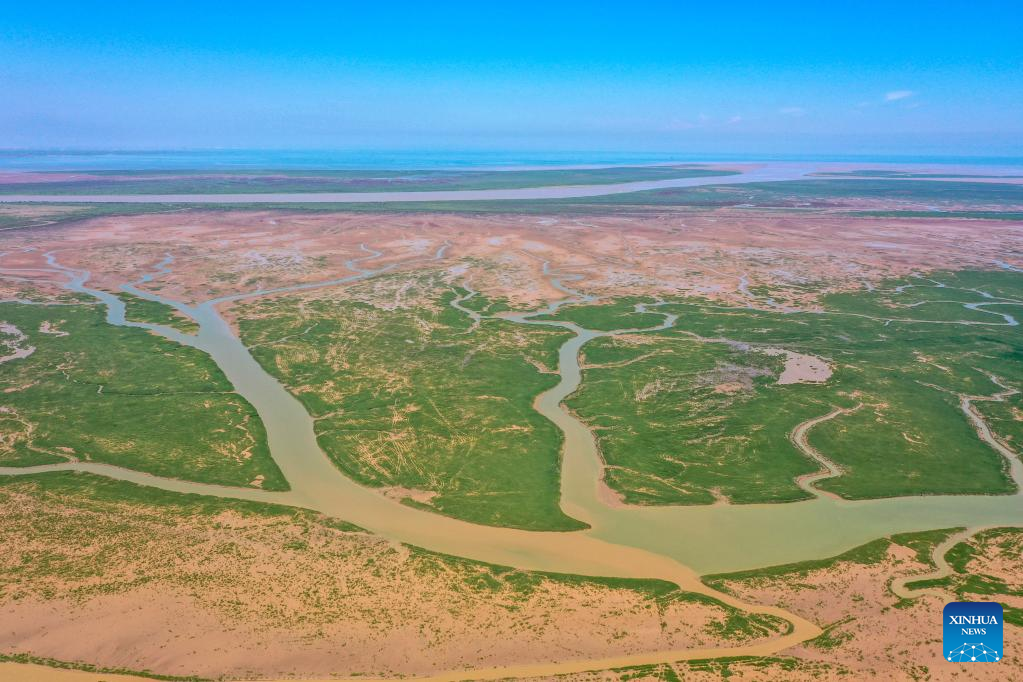 Yellow River Delta