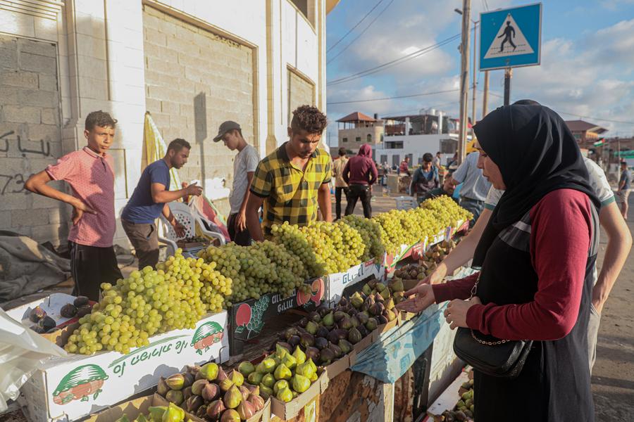 Mideast in Pictures: Palestinian farmers embrace harvest season of figs ...