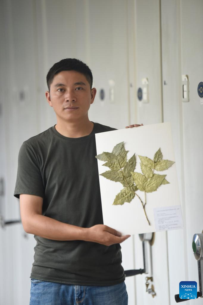 Critically endangered plant rediscovered in SW China-Xinhua
