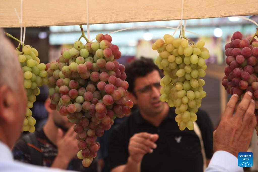 Annual grapes festival celebrated in Hebron-Xinhua