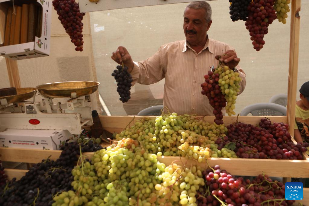 Annual grapes festival celebrated in Hebron-Xinhua
