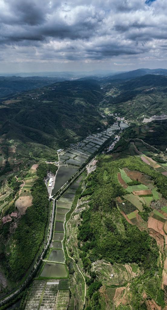 Protecting indigenous fish in Yunnan-Xinhua