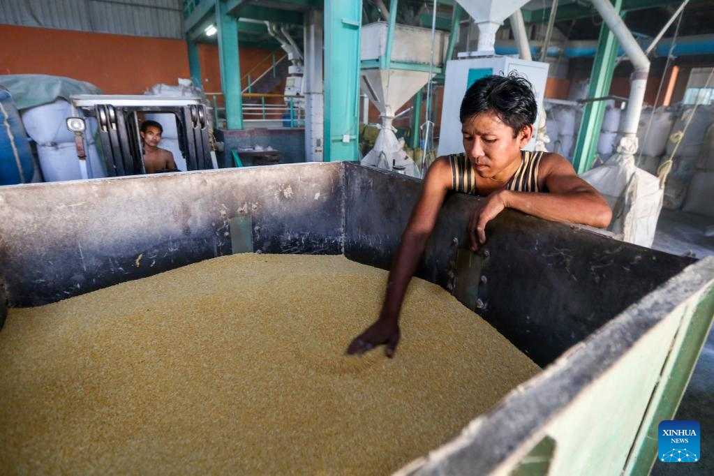 Myanmar exports over 811,812 tons of beans, pulses in 1st half of 2022 ...