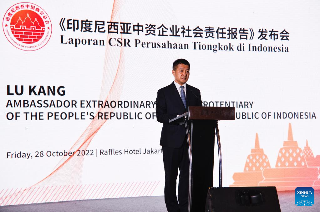 Chinese companies contribute to Indonesia's economic, social ...