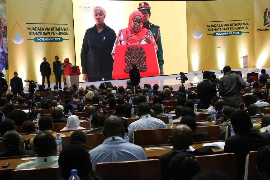 Tanzanian president advocates use of clean energy for cooking-Xinhua