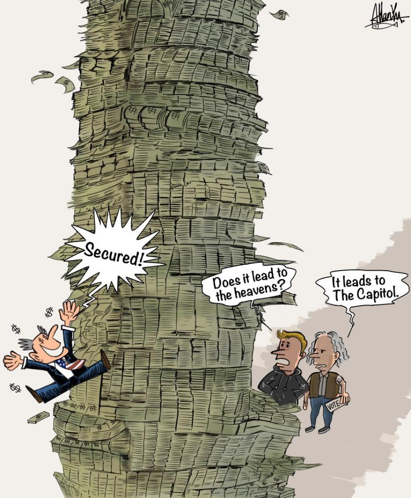 Cartoon: One dollar, one vote-Xinhua