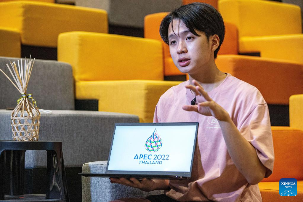 Feature: Young Thai designer revives ancient culture through APEC logo ...