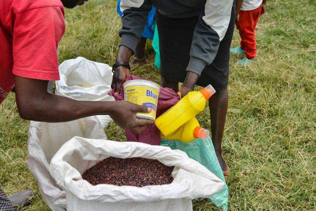 Kenya says 4.3 mln people food insecure as drought intensifies-Xinhua