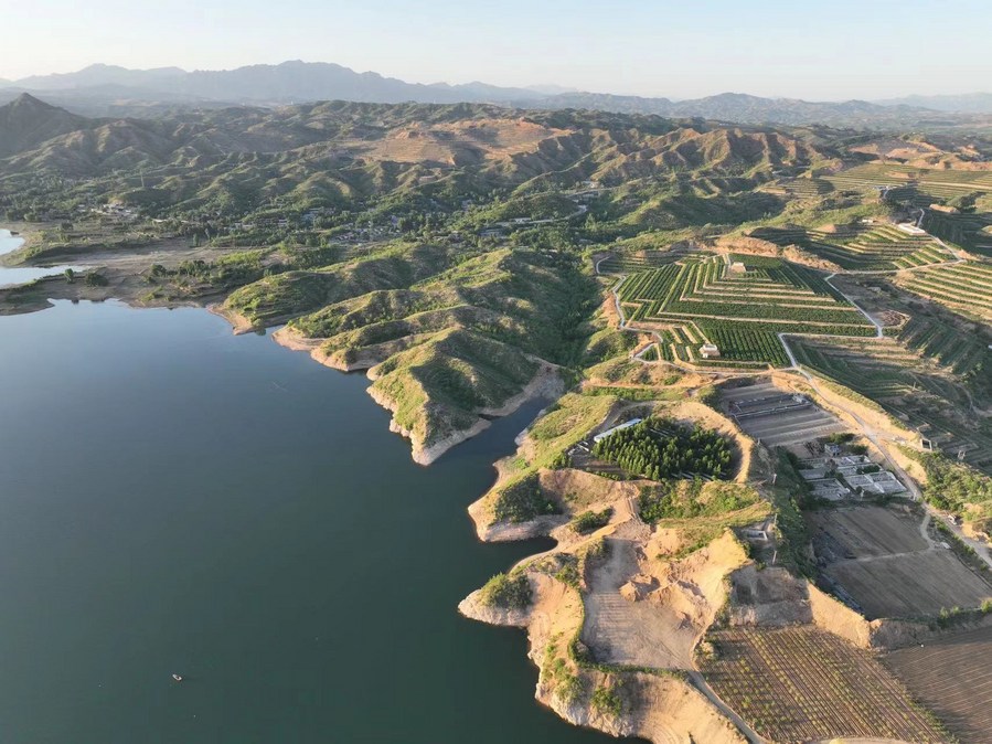 Overseas returnee opens modern orchards in mountainous village-Xinhua