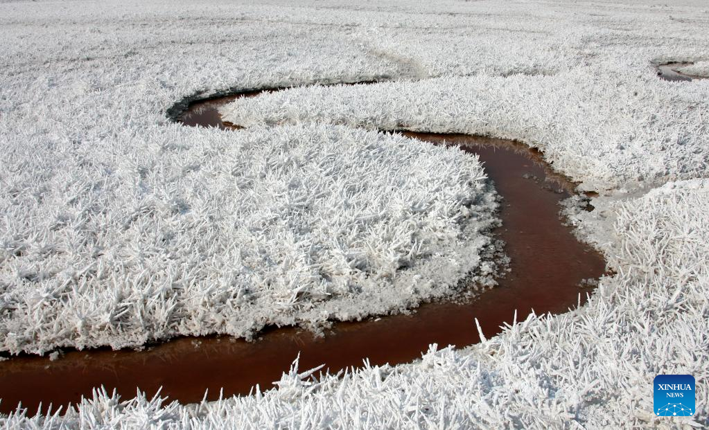 "Mirabilite flowers" blossom in north China salt lake-Xinhua