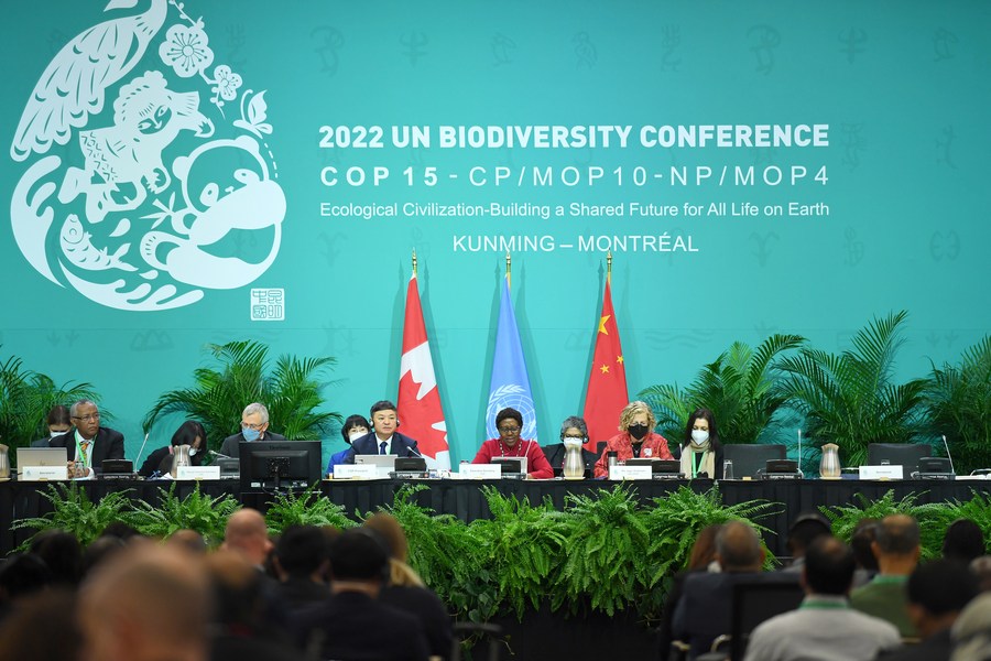 Interview: UN biodiversity leader says COP15 vital for parties to ...