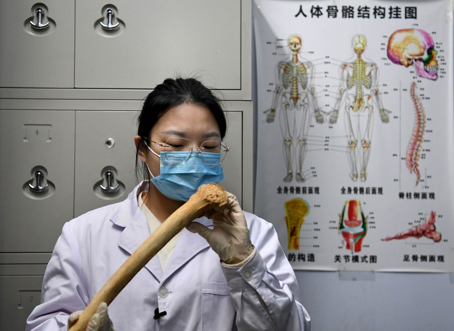 GLOBALink | Decipherer of ancient human bones-Xinhua