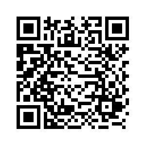 Total value of China's foreign contracted projects up in Jan.-Nov.-Xinhua