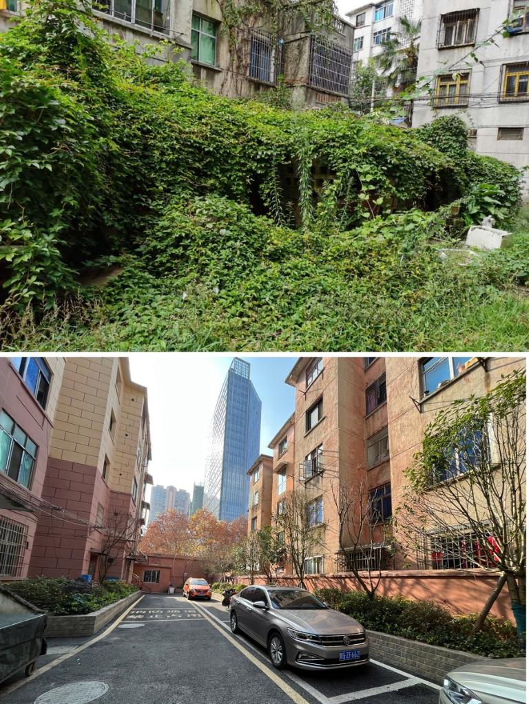 Yearender: China strives to improve people's well-being, raise quality ...