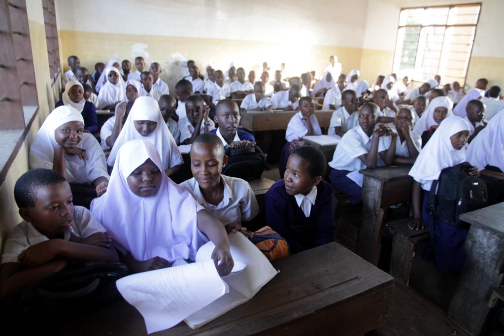 Tanzania sets aside over 400 mln USD for renovation of old primary ...