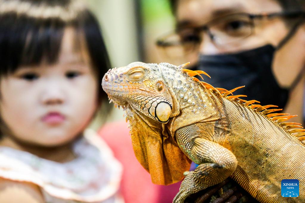 Animal Convention 2023 held in Pasay City, Philippines-Xinhua