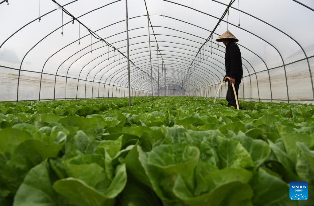 Farmers busy with spring farming in China -Xinhua
