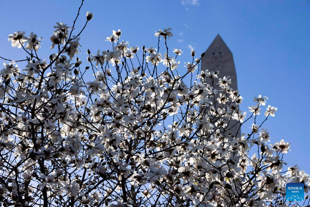 High temperature hits Washington, DC-Xinhua