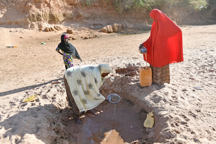 Drought, conflict displace 3.8 mln Somalis: IOM-Xinhua