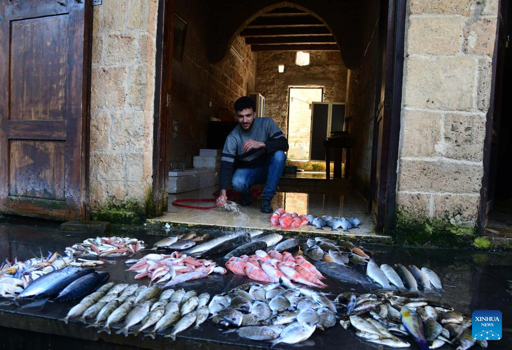 In pics: fish market in Baniyas, Syria-Xinhua