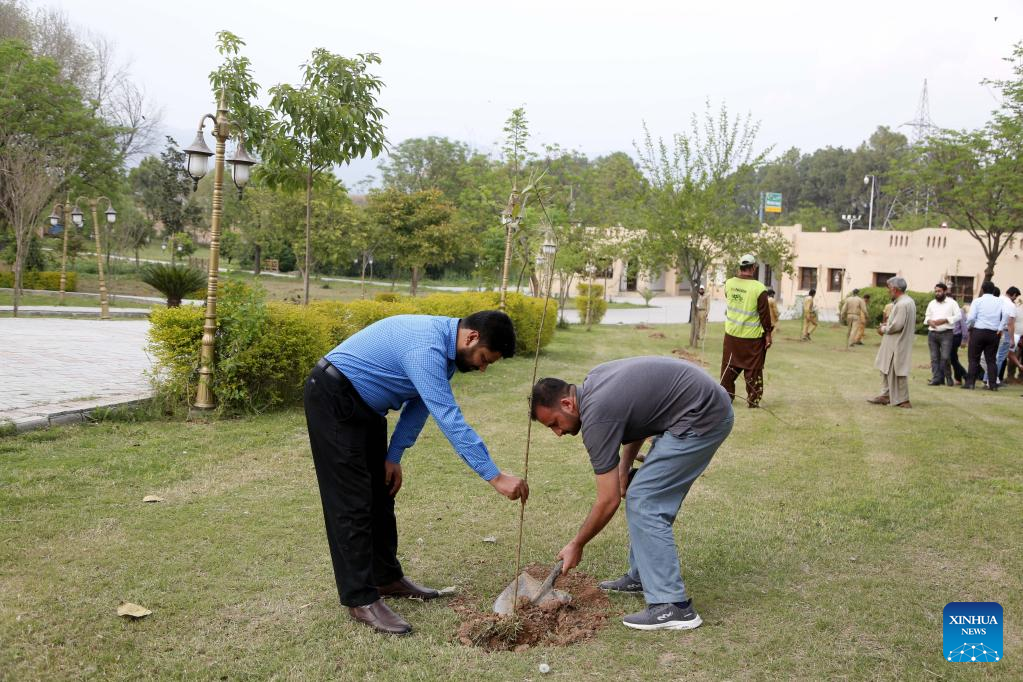 Spring tree plantation drive held in Pakistan-Xinhua