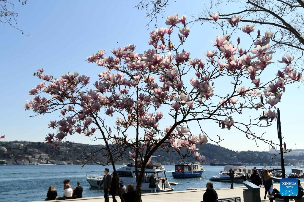 Springtime in Istanbul, Türkiye-Xinhua