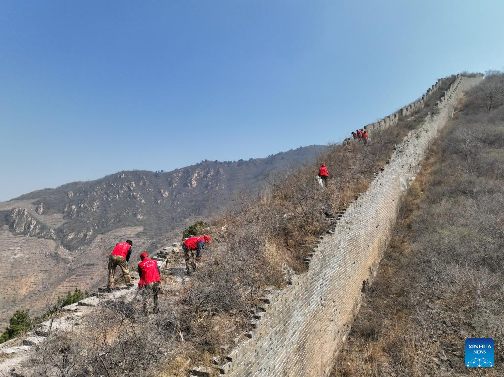 Great Wall protection team conducts maintenance works in north China ...