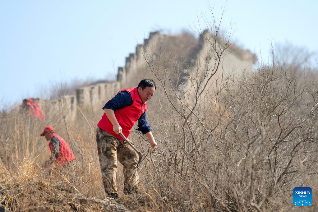 Great Wall protection team conducts maintenance works in north China ...