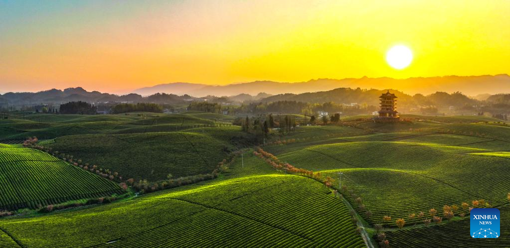 Farmers busy with farm work around Qingming across China-Xinhua